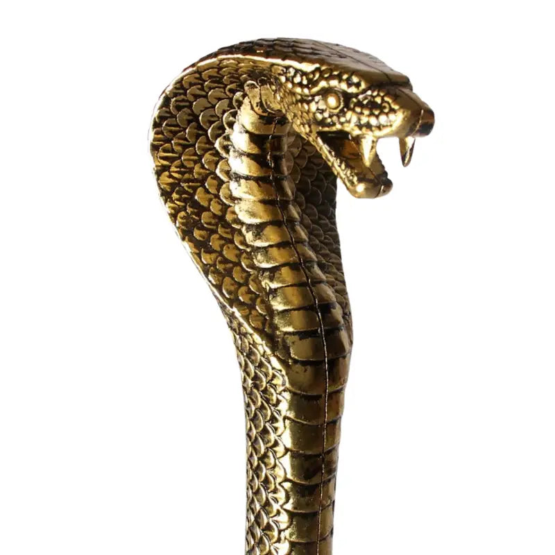 Canne de Luxe Tête de Cobra – Élégance et Caractère